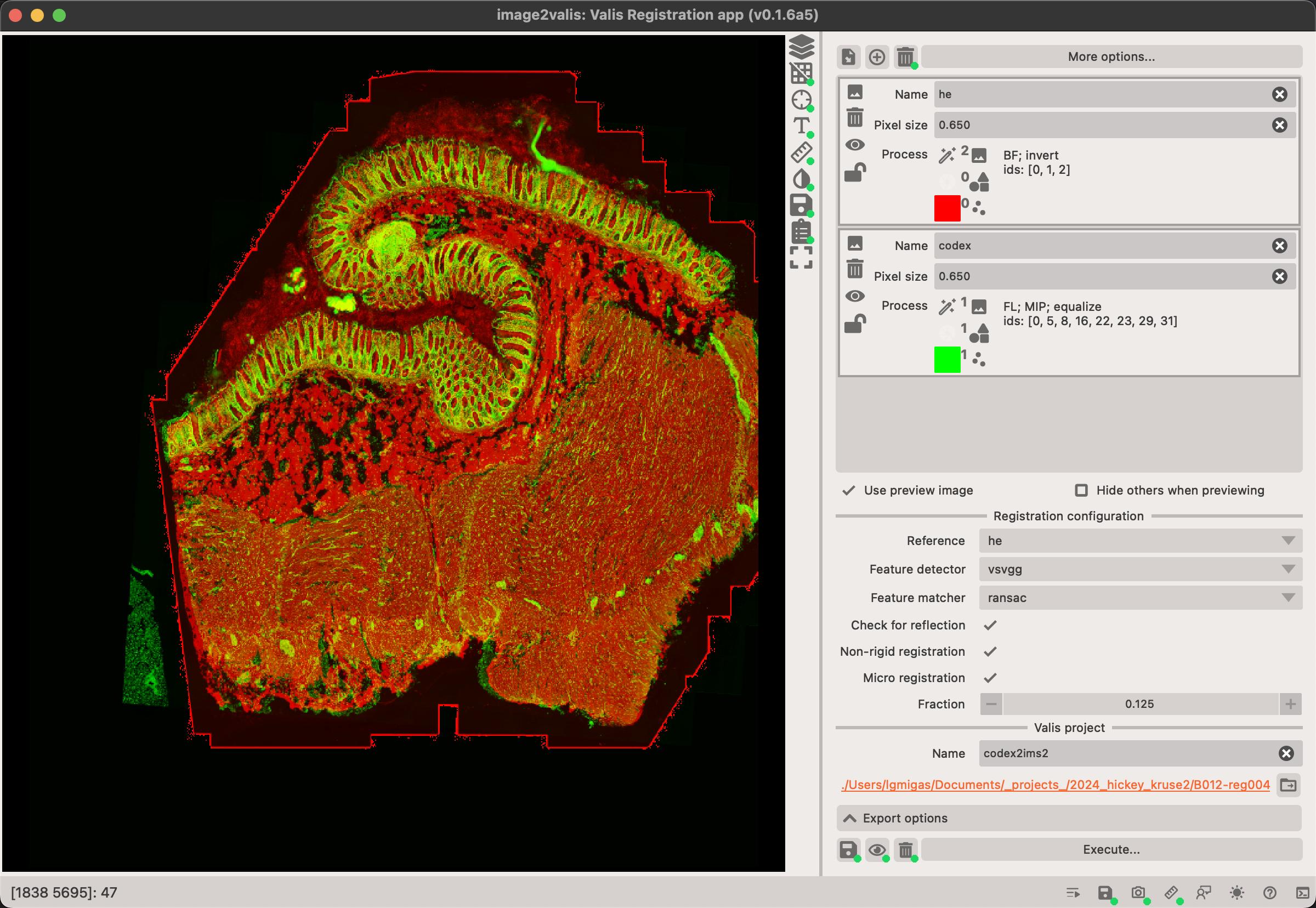 Valis app - image2image